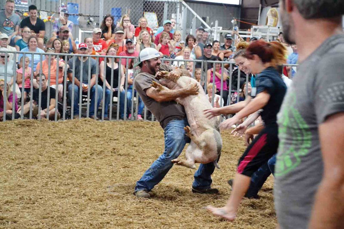 Washington County Fair attendees hoof it to greased pig contest | News ...